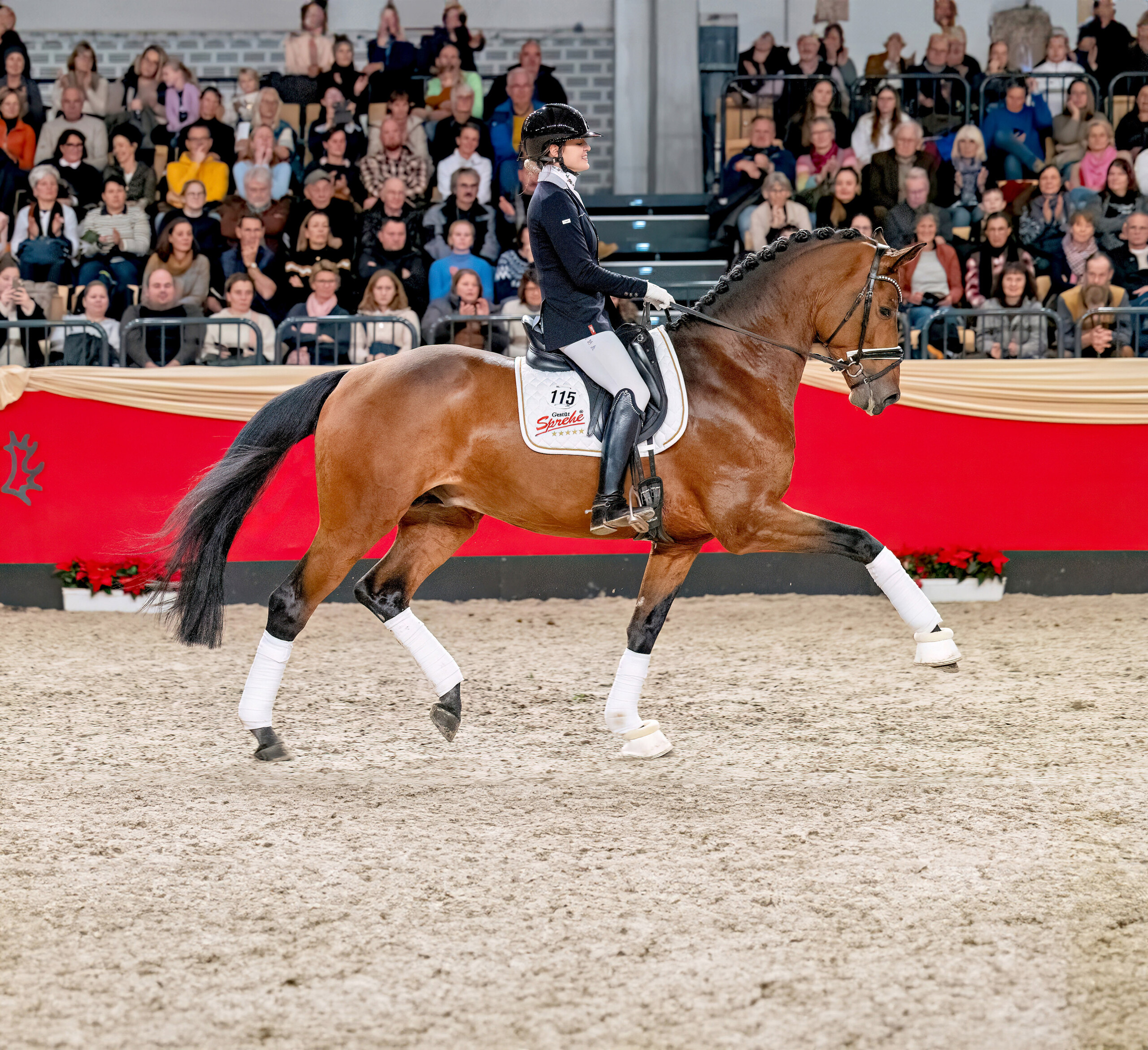 Kenneth - Pferde - Sprehe-Gestuet